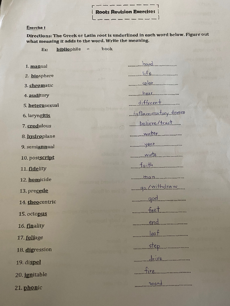 Root Revision Exercises | PDF