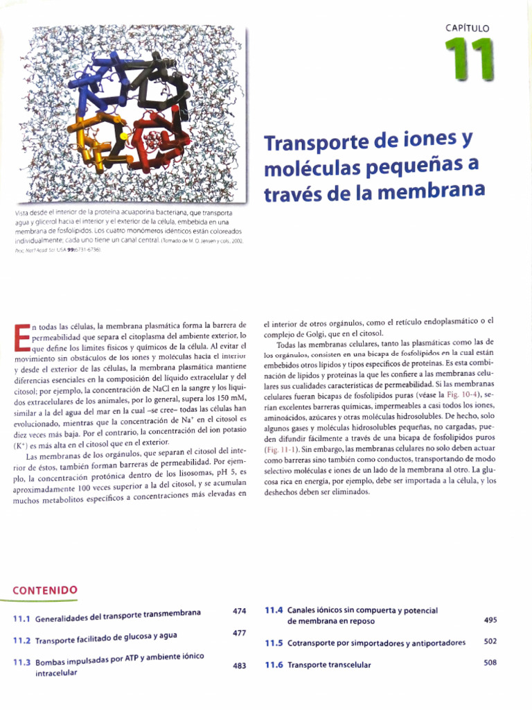 Lodish - Cap11 | PDF | Citosol | Biología Celular)