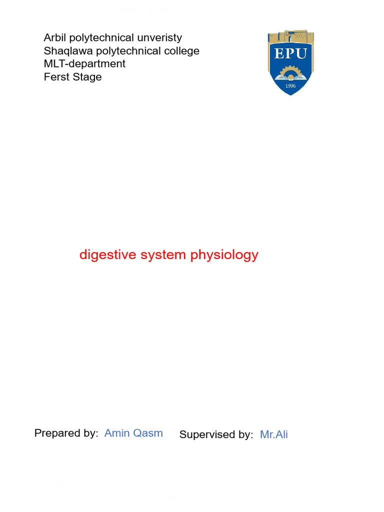 Digestive System Physiology | PDF | Stomach | Esophagus