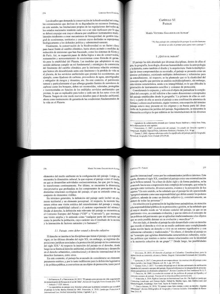 Cap VI Paisaje | PDF