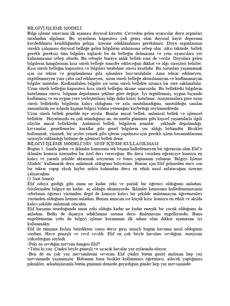 Bilgiyi Işleme Modeli | PDF