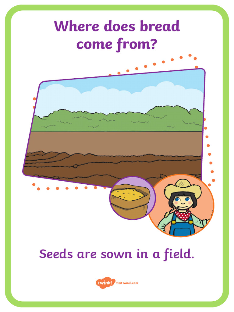 bread making sequencing cards | PDF