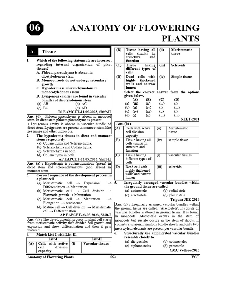 YCT Anatomy of Flowering Plants NEET Questions Practice | PDF | Plant Stem | Root