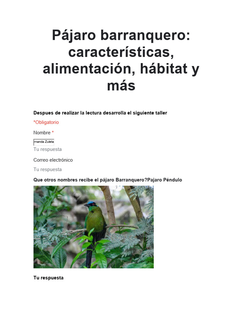 Pajaro Barranquero Características-Preguntas | PDF