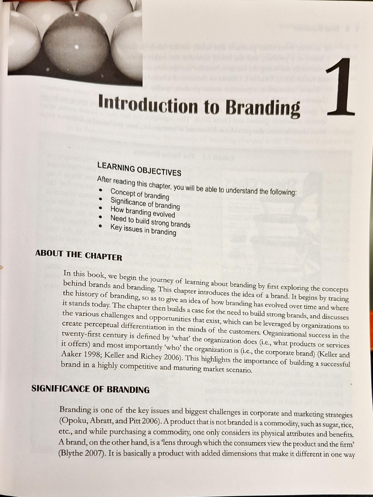 Intro To Branding-Sbm | PDF