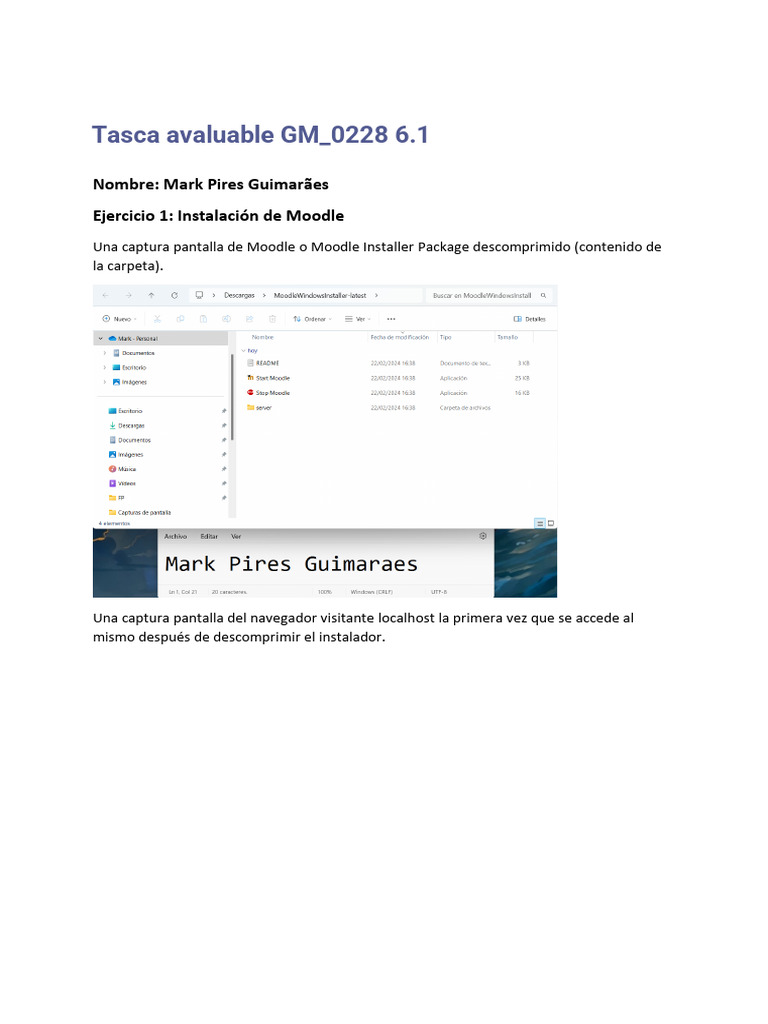 Tarea - Evaluable GM - 0228 - 6 - Mark - Pires | PDF | Informática