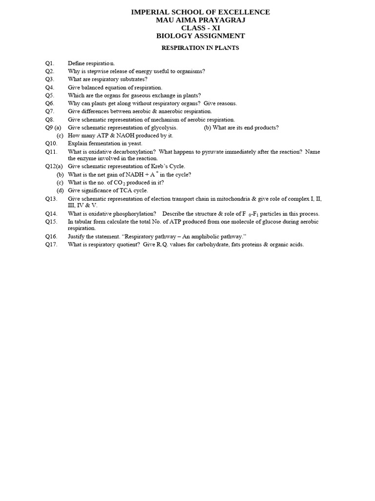 Respiration in Plants-Worksheet | PDF