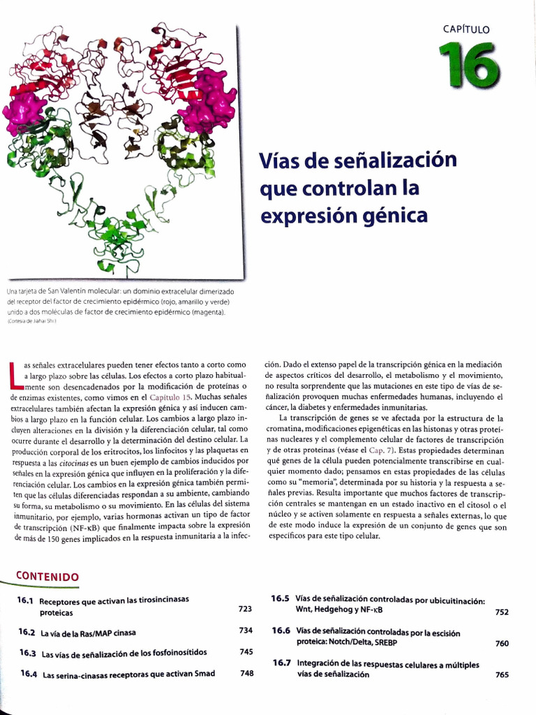 Lodish - Capitulo16 | PDF | Receptor (Bioquímica) | Transducción de señales