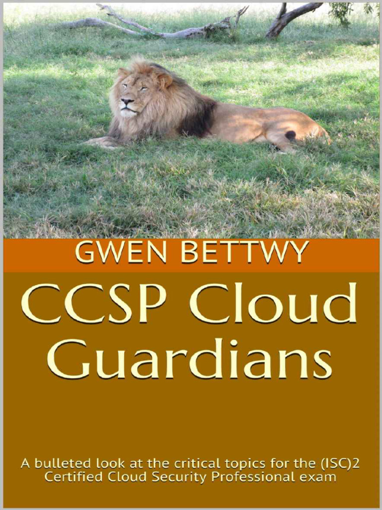 Gwen Bettwy CCSP Cloud Guardians A Bulleted Look at The Critical | PDF ...