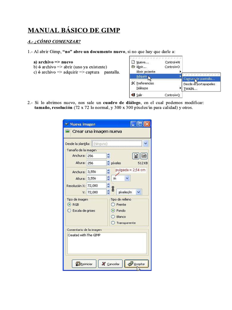 Manual Básico de Gimp | PDF