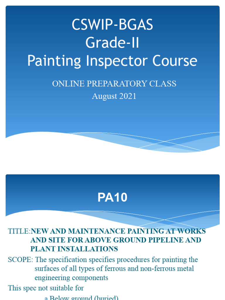 Bgas PA10 | PDF | Paint | Coating