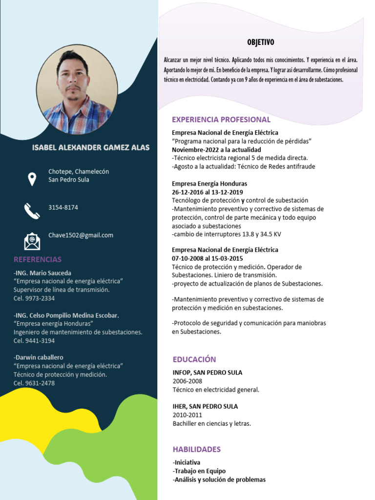 Curriculum Alexander | Descargar gratis PDF | Subestacion electrica | Ingenieria Eléctrica