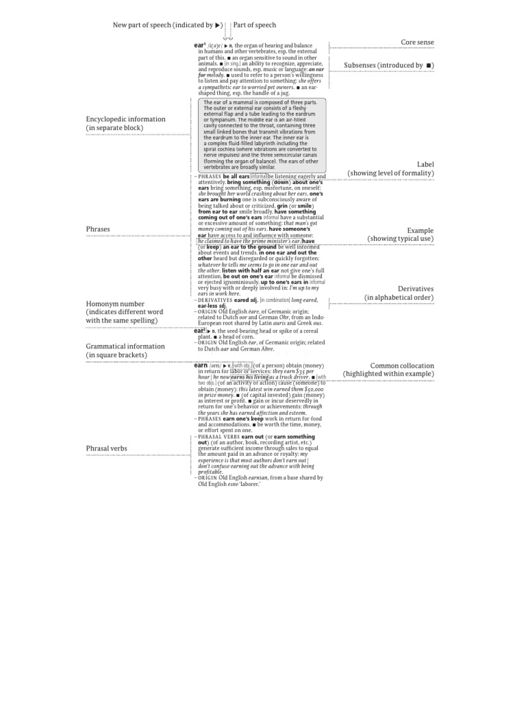 FBM howToUse 1 | PDF | Ear