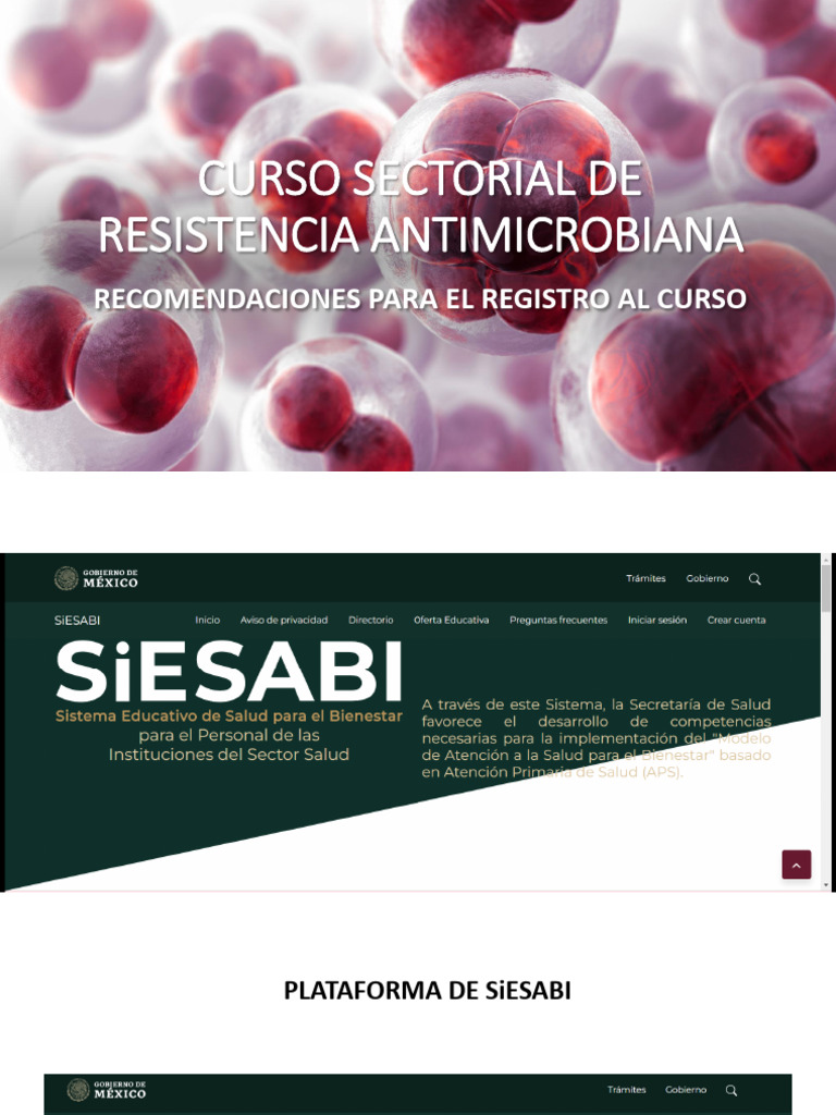 Curso Sectorial de Resistencia Antimicrobiana | PDF