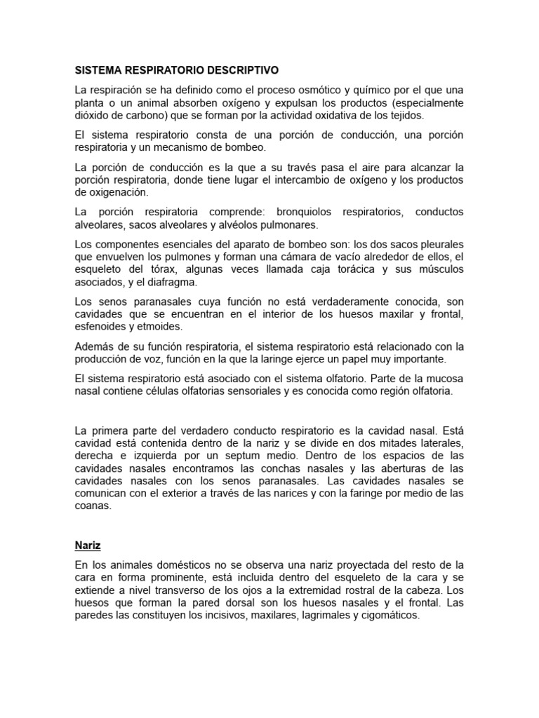 Sistema Respiratorio Descriptivo | PDF