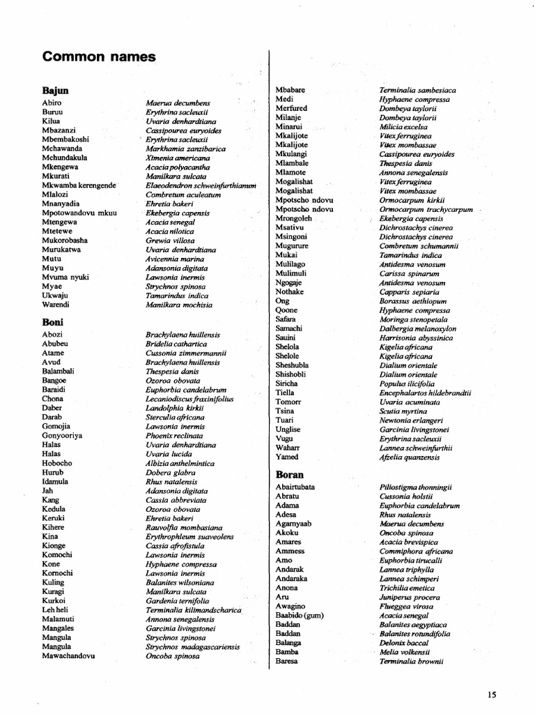 Common Tree Names in Kenya | PDF | Trees | Fruit