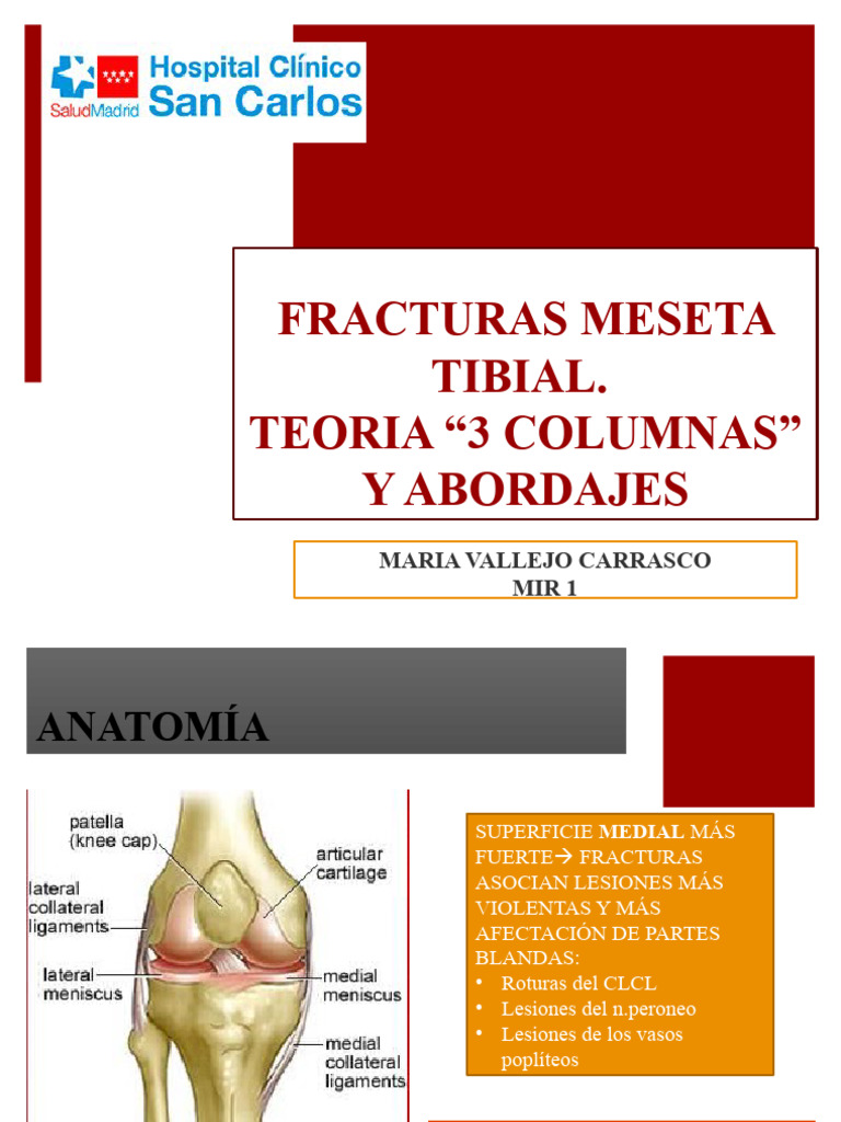 Fracturas de Meseta Tibial. Vallejo | PDF | Rodilla | Anatomía humana