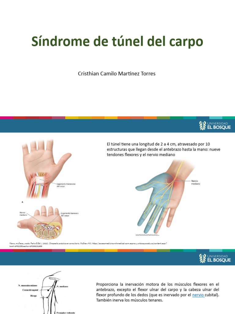 Síndrome Túnel Del Carpo y Cubital | PDF | Mano | Síndrome del túnel ...