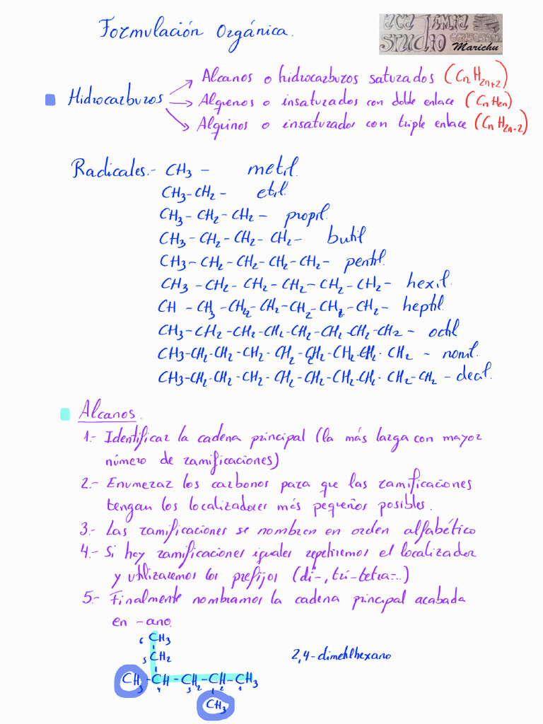 Resumen Form Organica - 240212 - 164537 | PDF