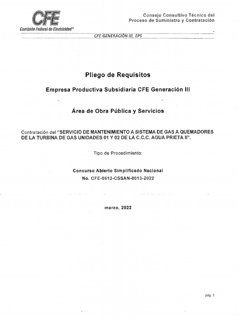 Pliego de Requisitos Con PBD CFE-0612-CSSAN-0013-2022 | PDF
