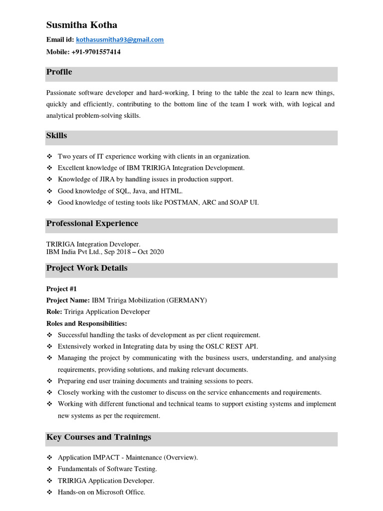 Software Developer with TRIRIGA Expertise | PDF