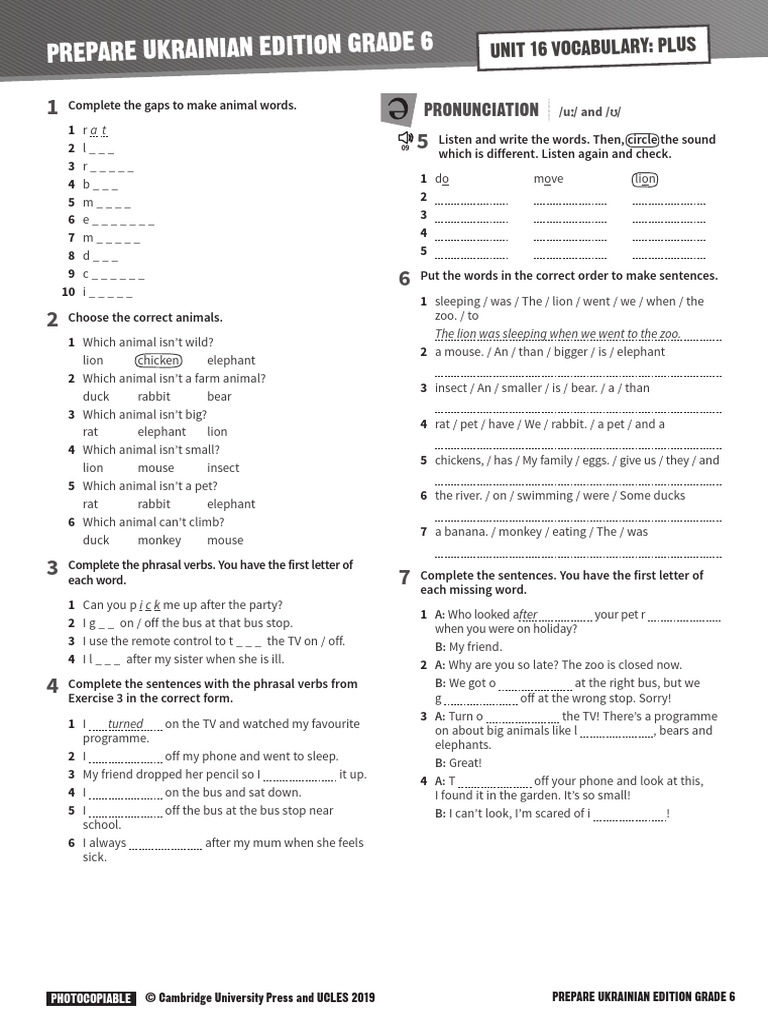 Prepare 6 Vocabulary Plus Unit 16 | PDF