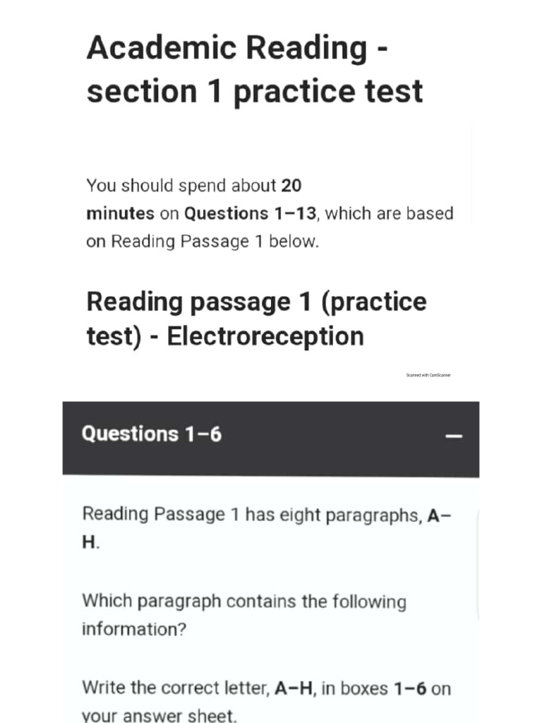 Reading Practice | PDF