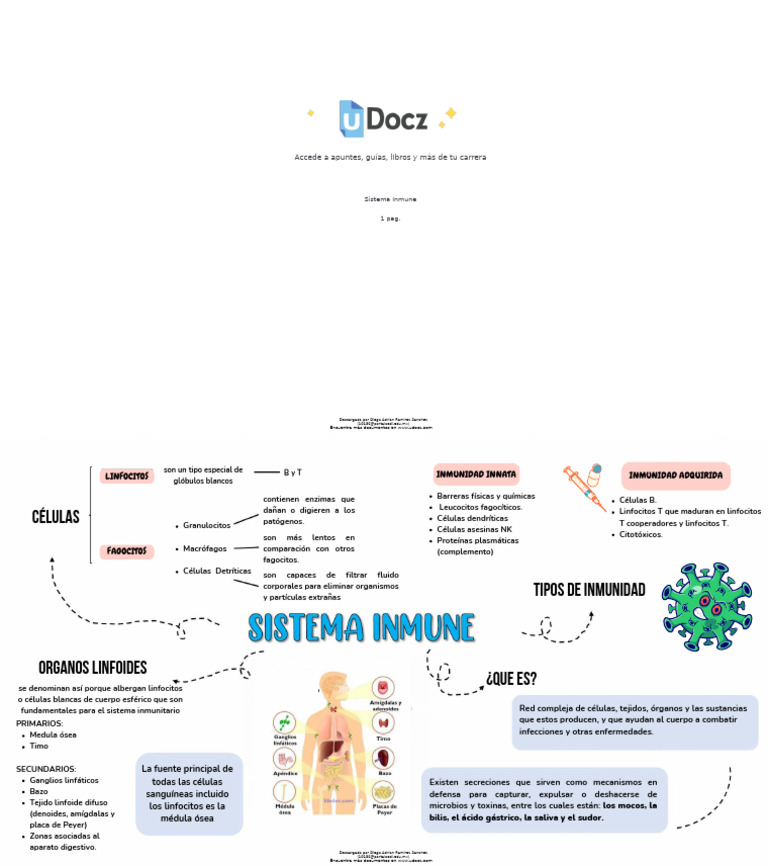 Sistema Inmune: Células y Órganos Clave | PDF | Sistema inmune | Linfocitos