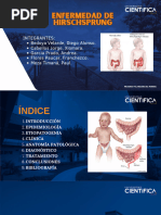 Marcha Trendelenburg: Análisis y Alteraciones | PDF | Pelvis | Sistema ...