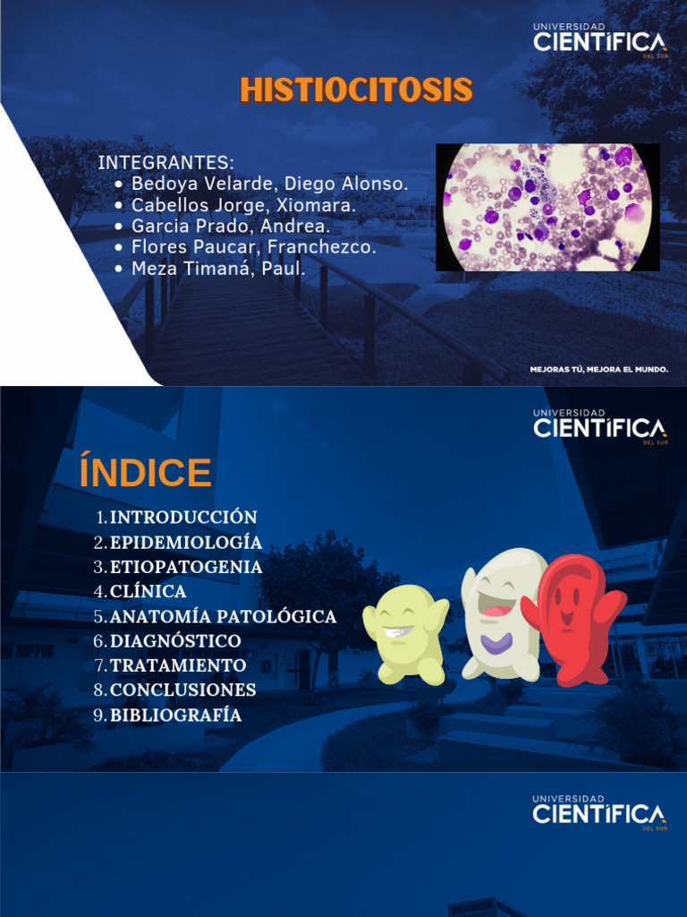 Histiocitosis: Guía Completa | PDF | Célula dendrítica | Enfermedades y ...
