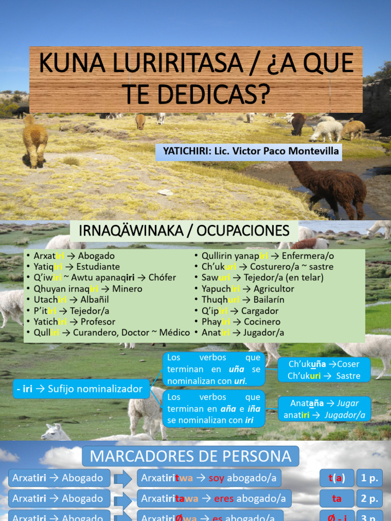 A Que Te Dedicas | PDF | Plural | Verbo