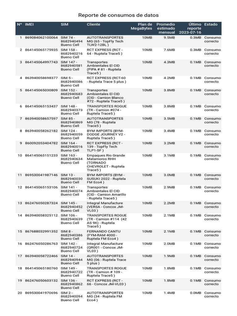 Reporte de Consumos de Datos | PDF