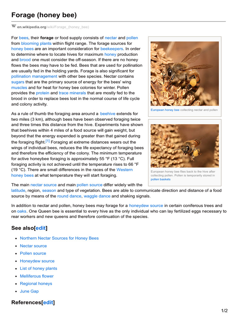 Forage Honey Bee | PDF | Honey Bee | Honey