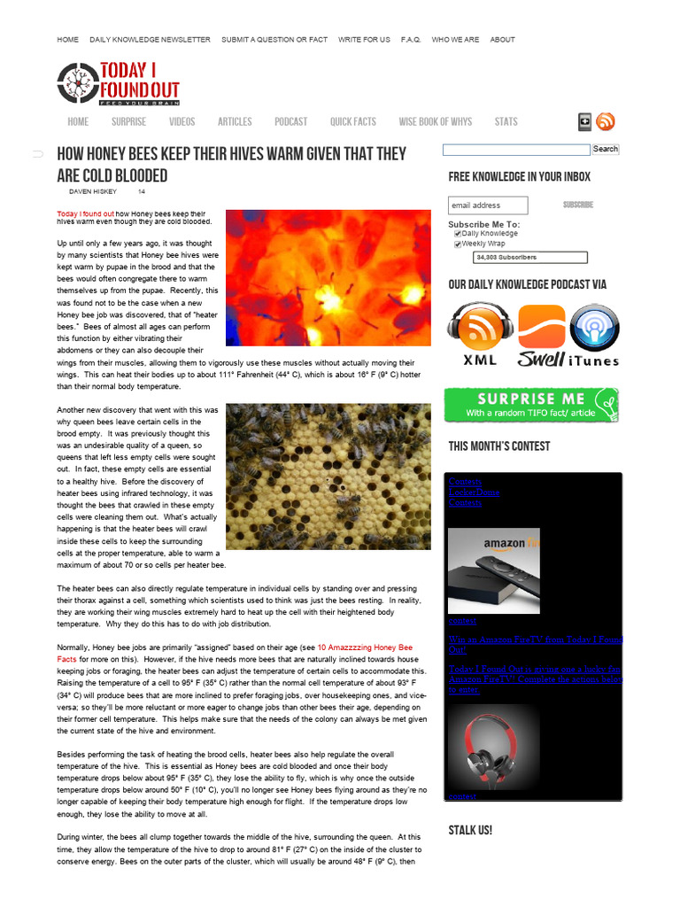 How Bees Warm Their Hives | PDF | Honey Bee | Beehive