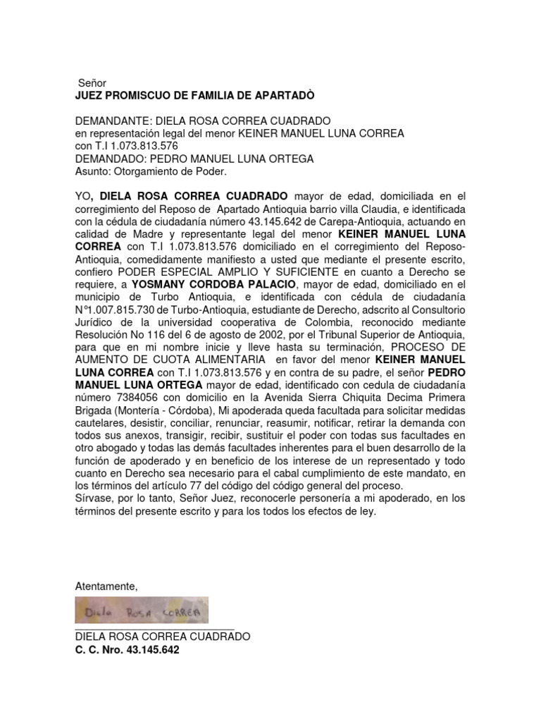 Demanda Diela Completa | PDF | Derecho