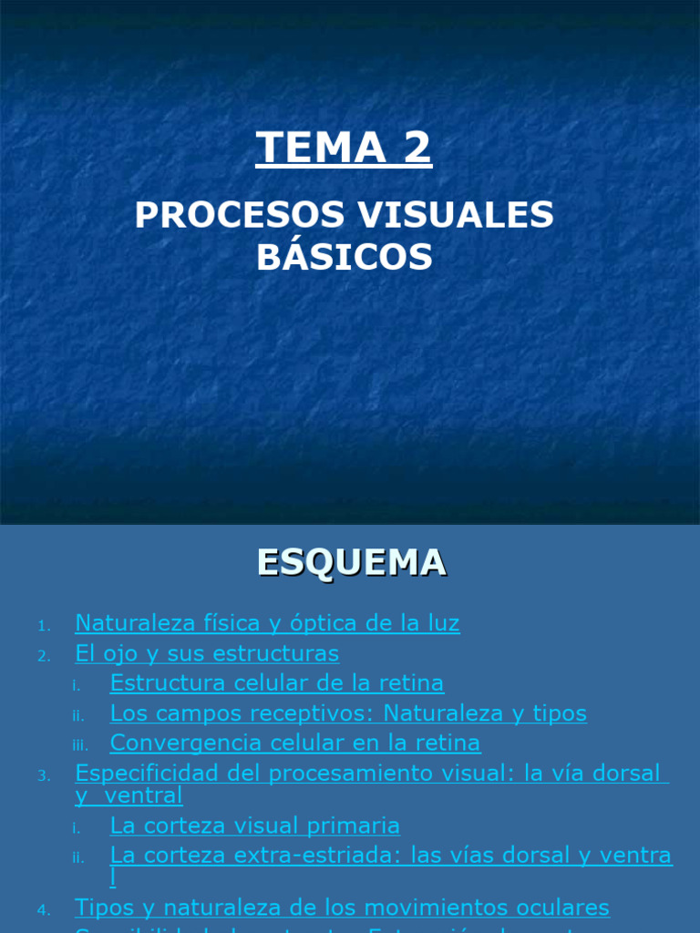 Tema 2. Procesos Visuales Basicos | PDF | Percepción visual | Óptica