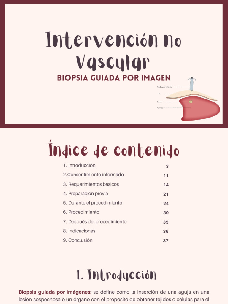Biopsia Guiada por Imágenes: Procedimiento y Requisitos | PDF