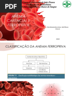 Cinética e Indicadores do Ferro Corporal | PDF | Ferro | Medicina Clínica