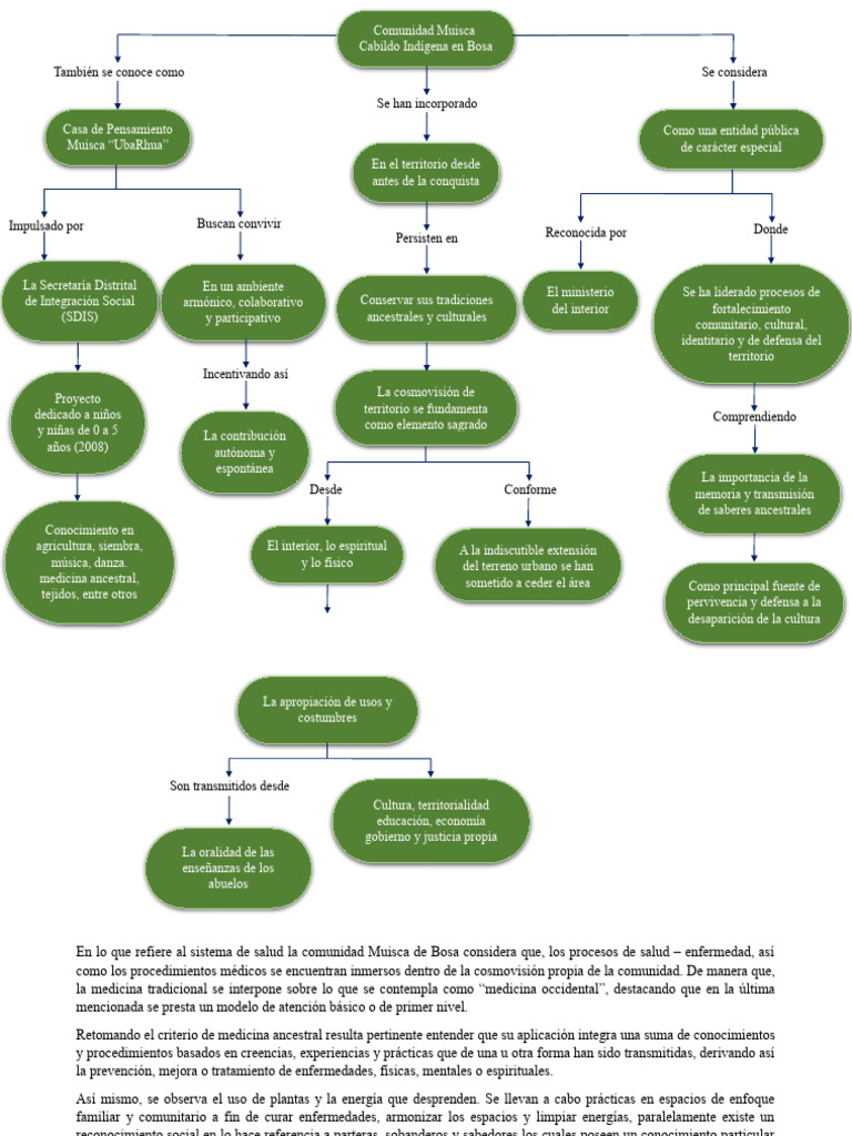 Mapa Conceptual | PDF | Medicina | Conocimiento