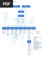 0924 089 Organogram+EZ KGG NL V2b 1 | PDF