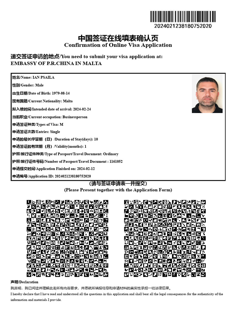 中国签证申请在线填表 打印简版 | PDF