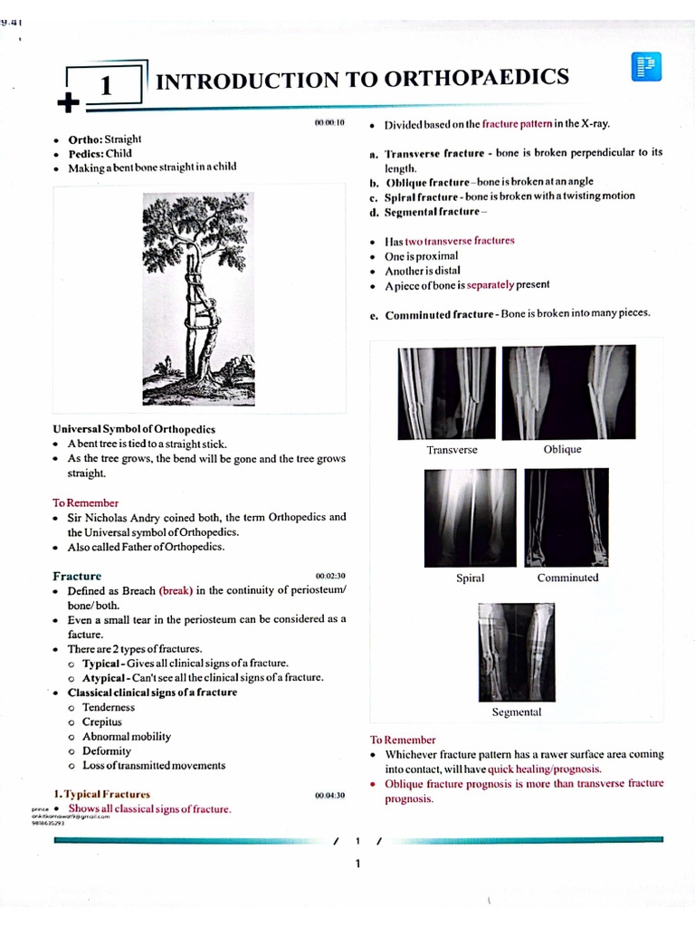 Orthopedic | PDF