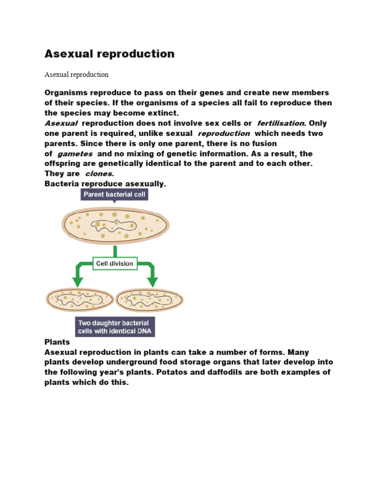 Asexual Reproduction | PDF | Science & Mathematics