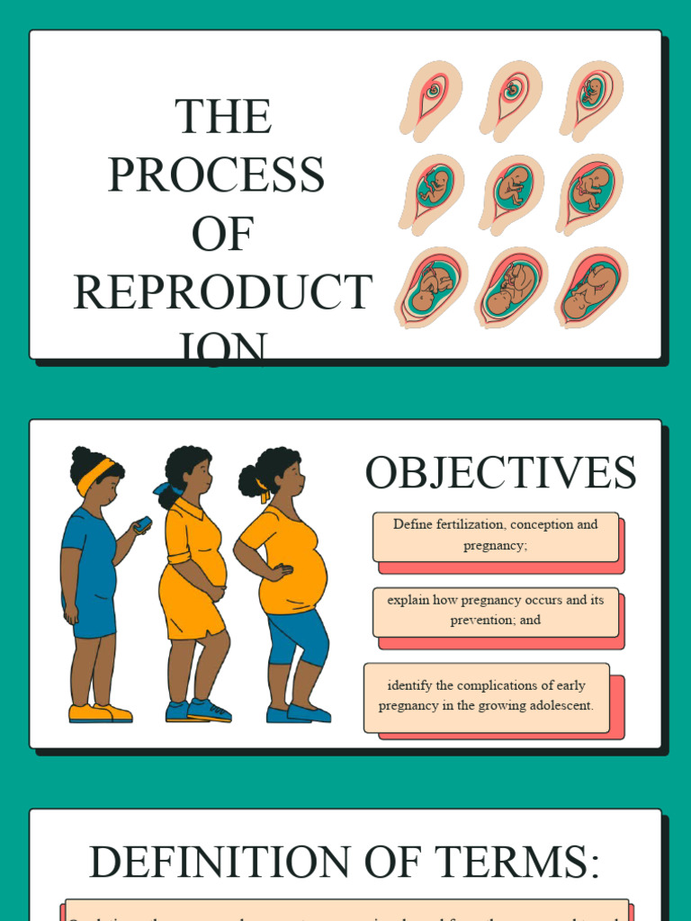 The REPRODUCTION-PROCESS | PDF | Menstrual Cycle | Human Reproduction