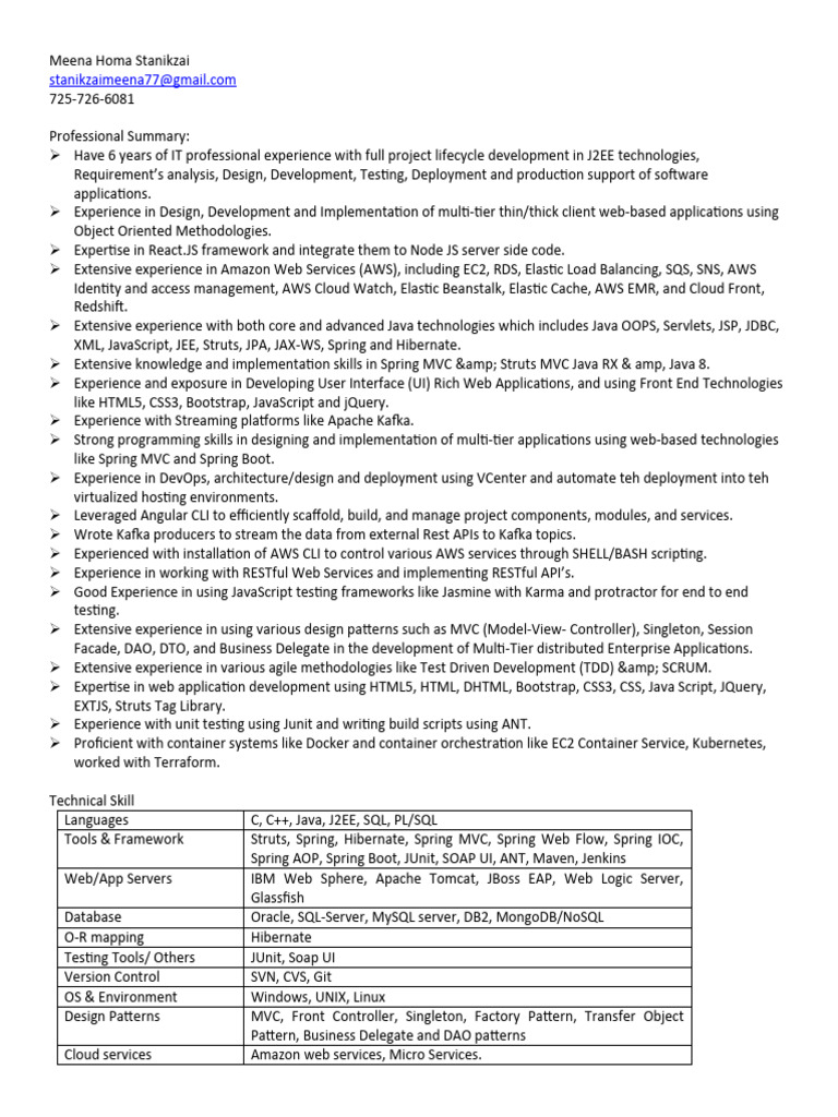 Resume Meena Stanikzai Pdf Spring Framework Representational State Transfer 
