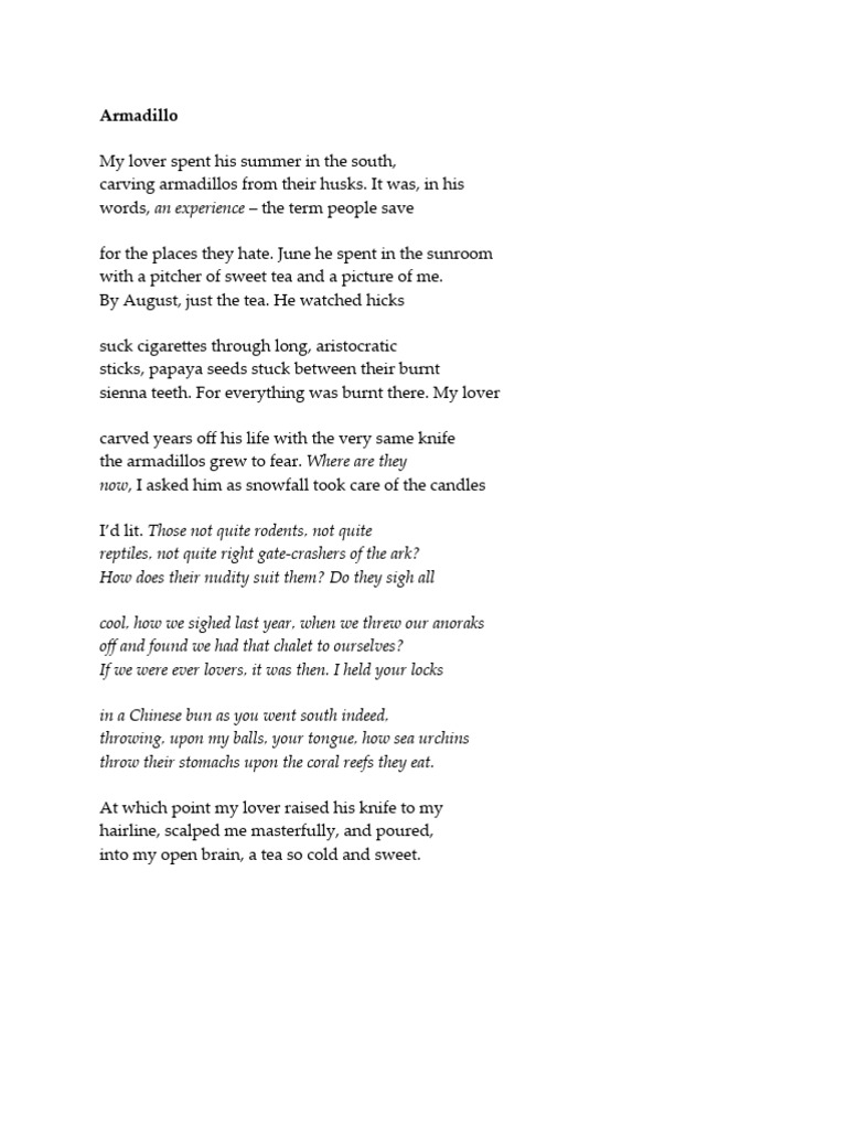 Carving Memories: An Armadillo Tale | PDF | Poetry