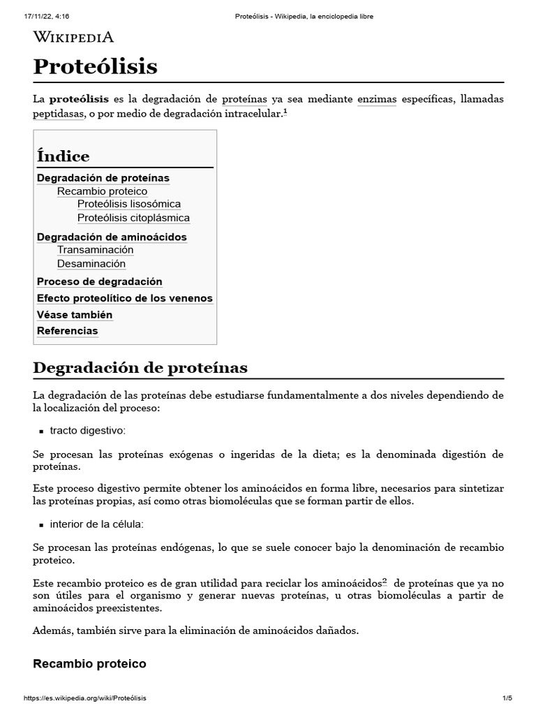 Proteólisis - Wikipedia | PDF | Proteólisis | Transaminasa