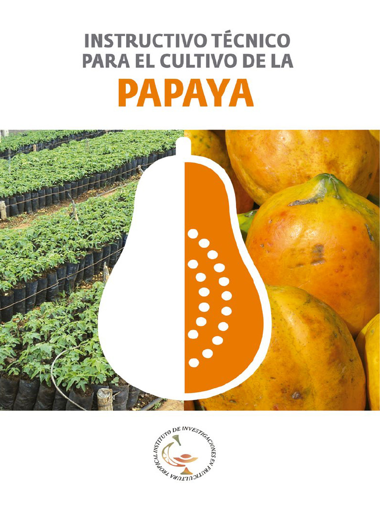PNUD Cuba Intructivo Técnico Papaya | PDF | Flores | Tallo de la planta