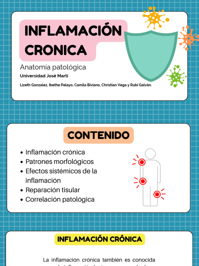 Inflamación Crónica: Aspectos Clave y Efectos | PDF | Inflamación ...