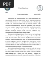 Canine Tooth Anatomy Overview | PDF | Dental Anatomy | Tooth